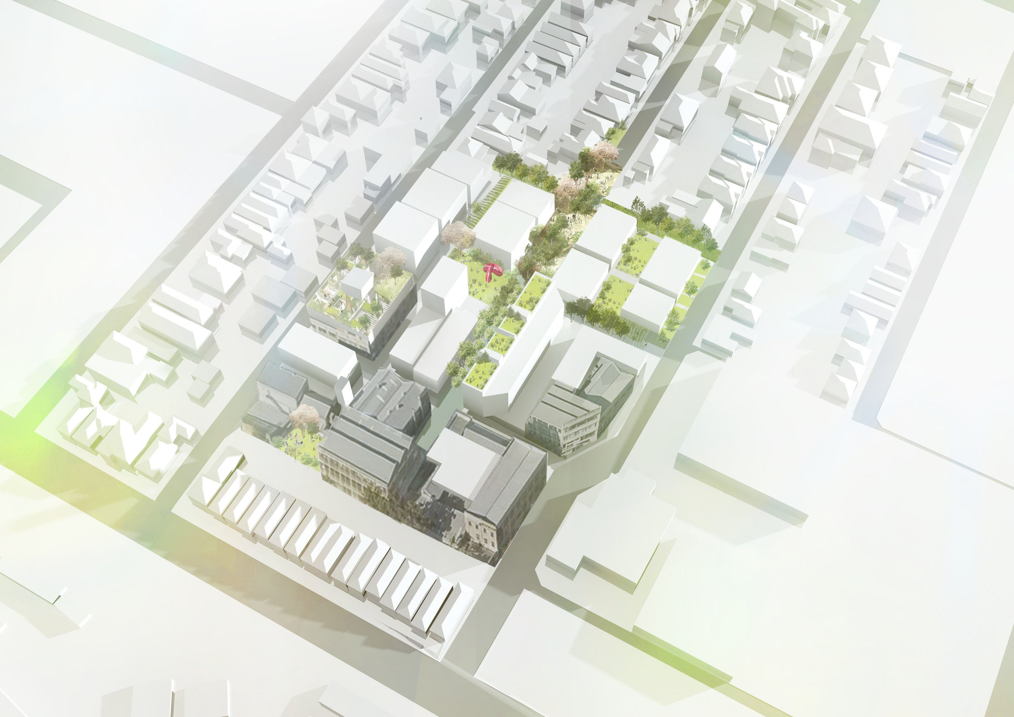Precinct 75 St. Peters – Tonkin Zulaikha Greer