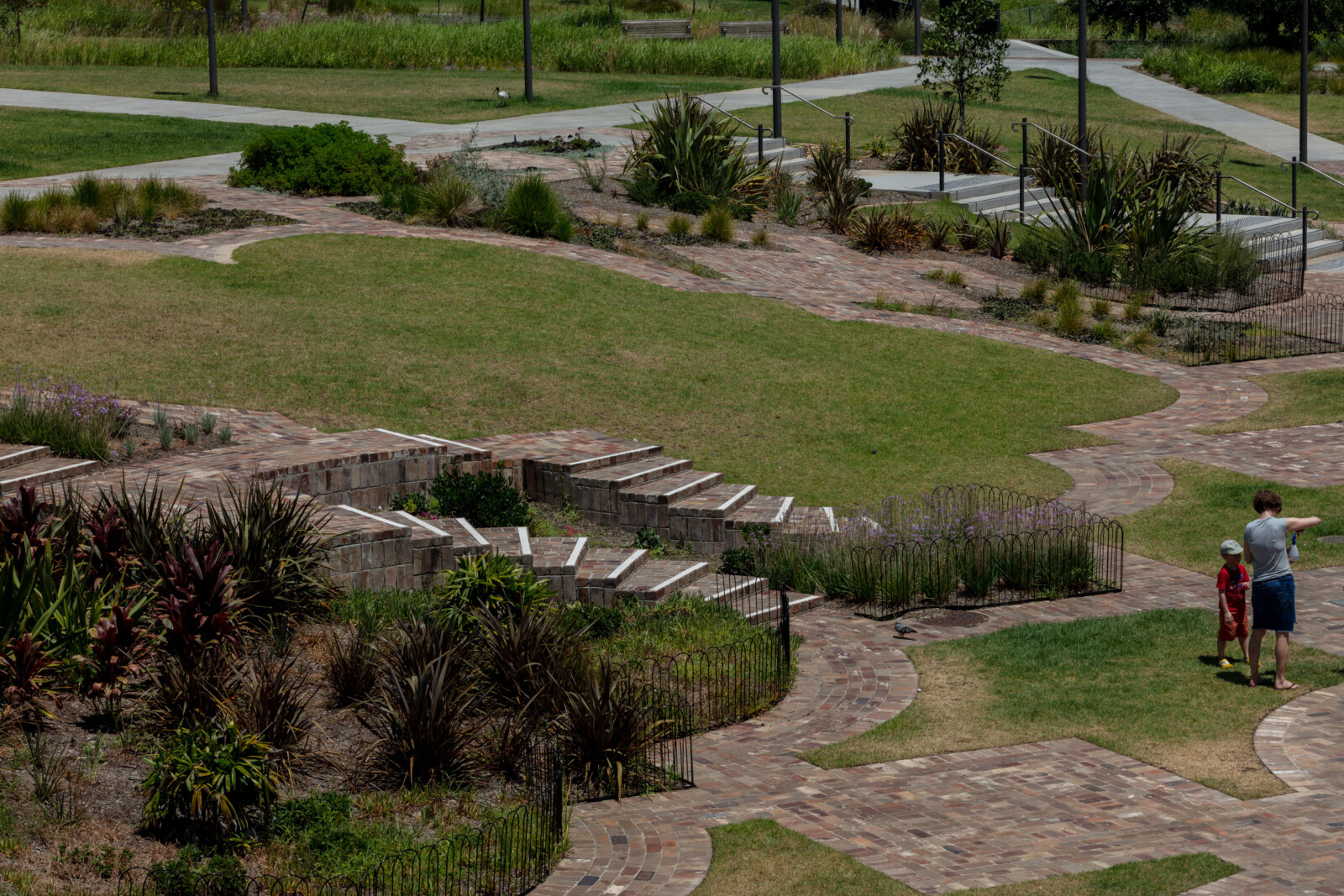 Harold Park Picnic Shelters – Tonkin Zulaikha Greer